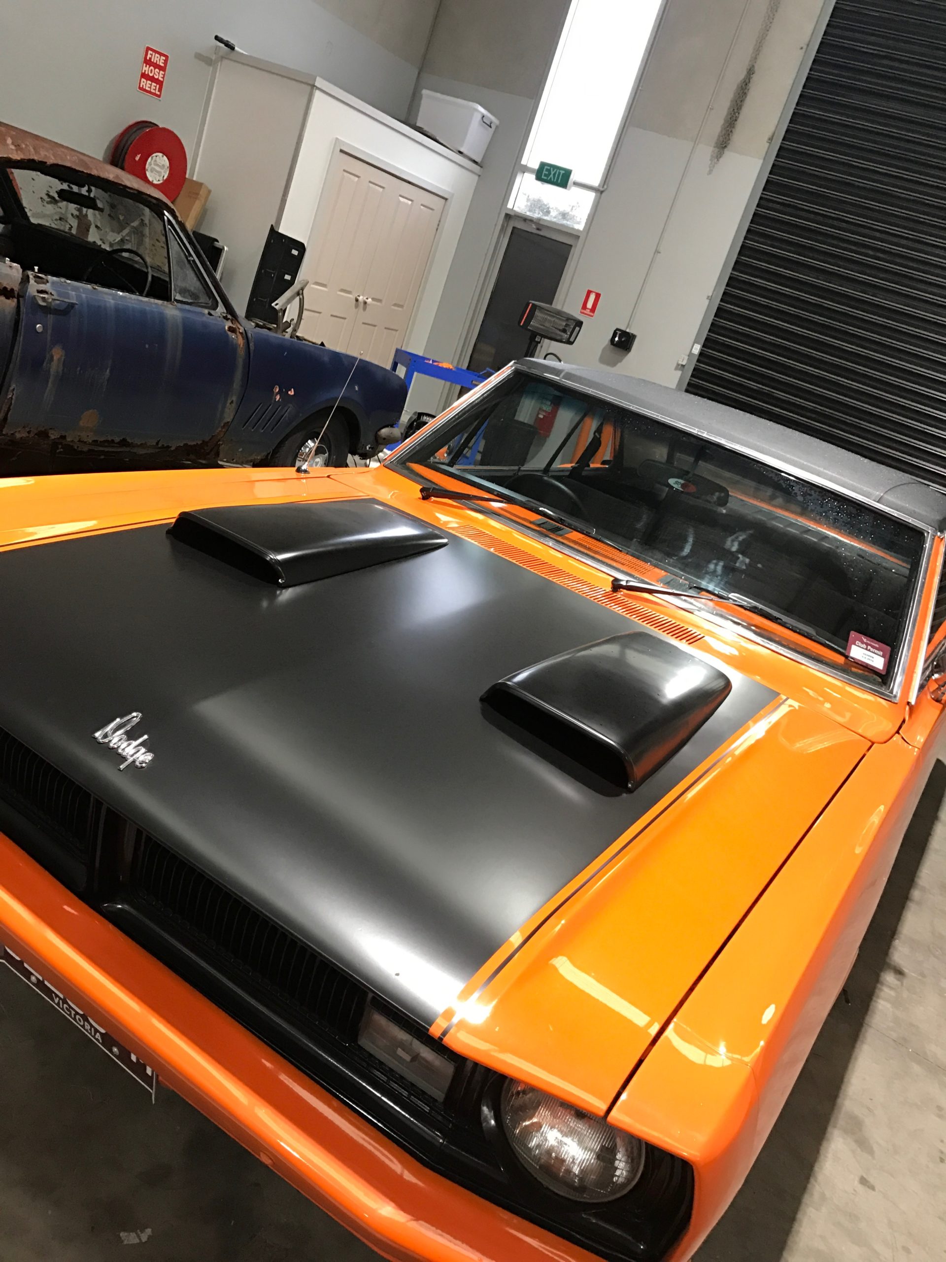 Cars | Vinyl Wraps & Graphics